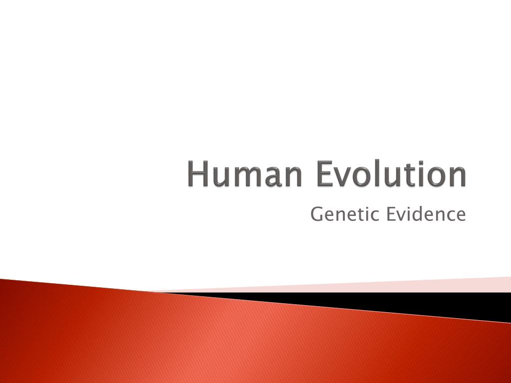 PPT - Human Evolution PowerPoint Presentation, free download - ID:1937576