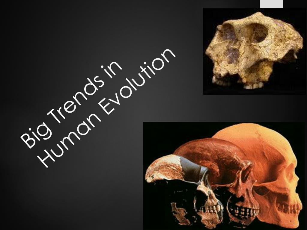 PPT - Big Trends in Human Evolution PowerPoint Presentation, free ...