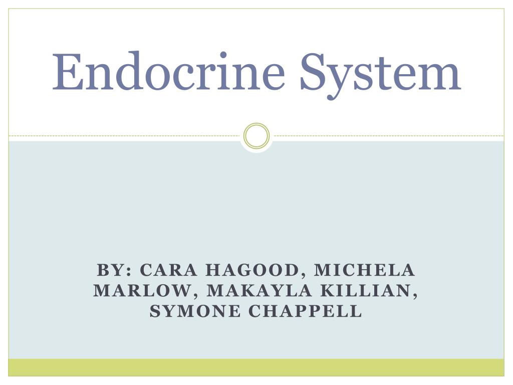 PPT - Endocrine System PowerPoint Presentation, free download - ID:1937960
