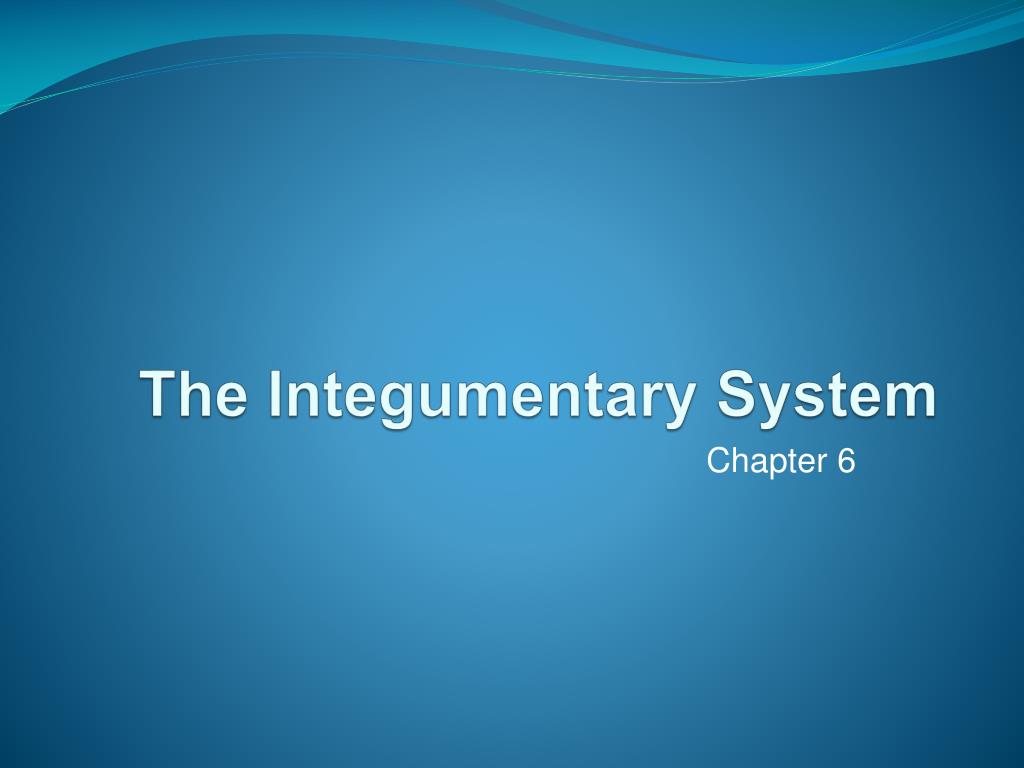 PPT - The Function and Structure of Hair in the Integumentary System ...