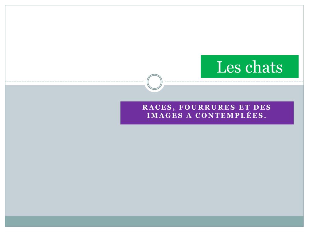 PPT - Les chats PowerPoint Presentation, free download - ID:1938036
