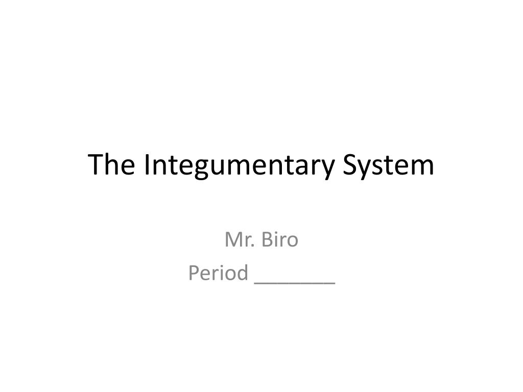 PPT - The Integumentary System PowerPoint Presentation, free download ...