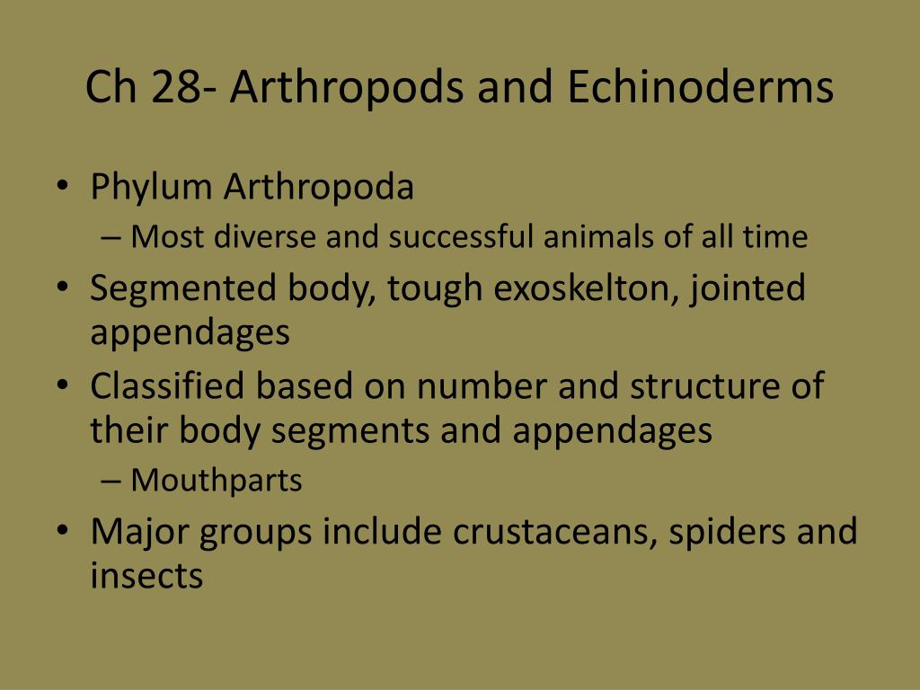 PPT - Ch 28- Arthropods and Echinoderms PowerPoint Presentation, free ...