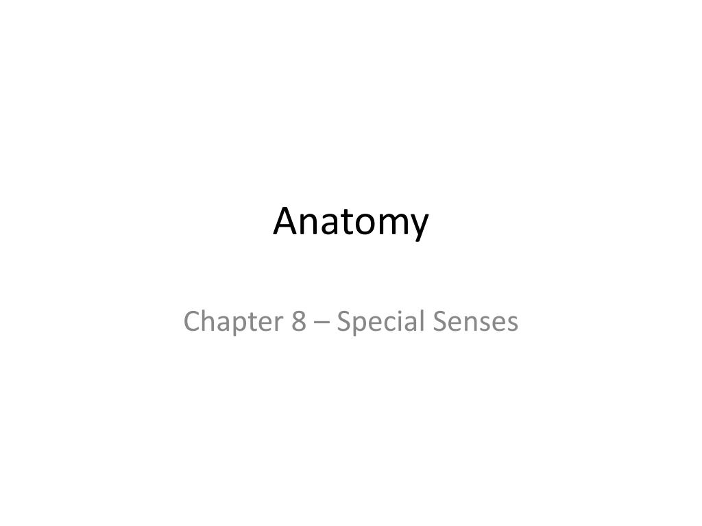 PPT - Anatomy PowerPoint Presentation, free download - ID:1939227