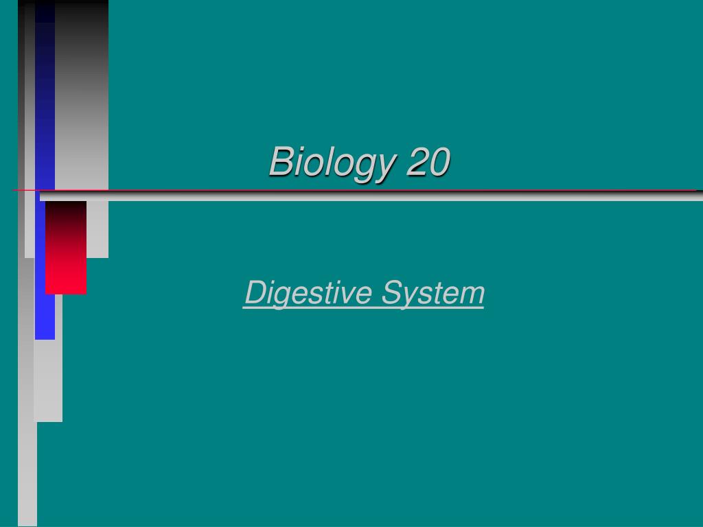 PPT - Biology 20 PowerPoint Presentation, free download - ID:1939229