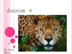 PPT - Jaguar PowerPoint Presentation, free download - ID:2729055