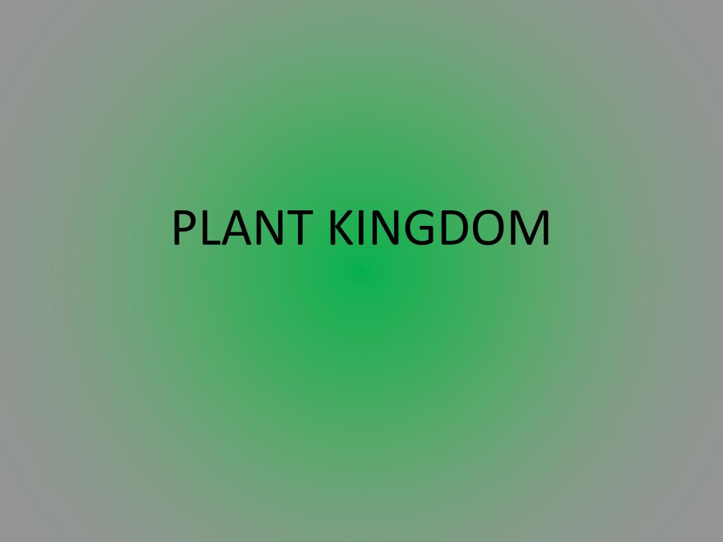 PPT - PLANT KINGDOM PowerPoint Presentation, free download - ID:1941479