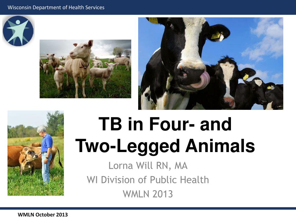 PPT - TB in Four- and Two-Legged Animals PowerPoint Presentation, free ...