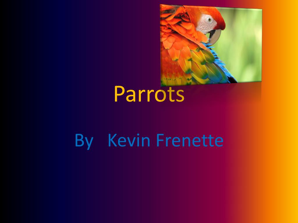 PPT - Parrots PowerPoint Presentation, free download - ID:1943797