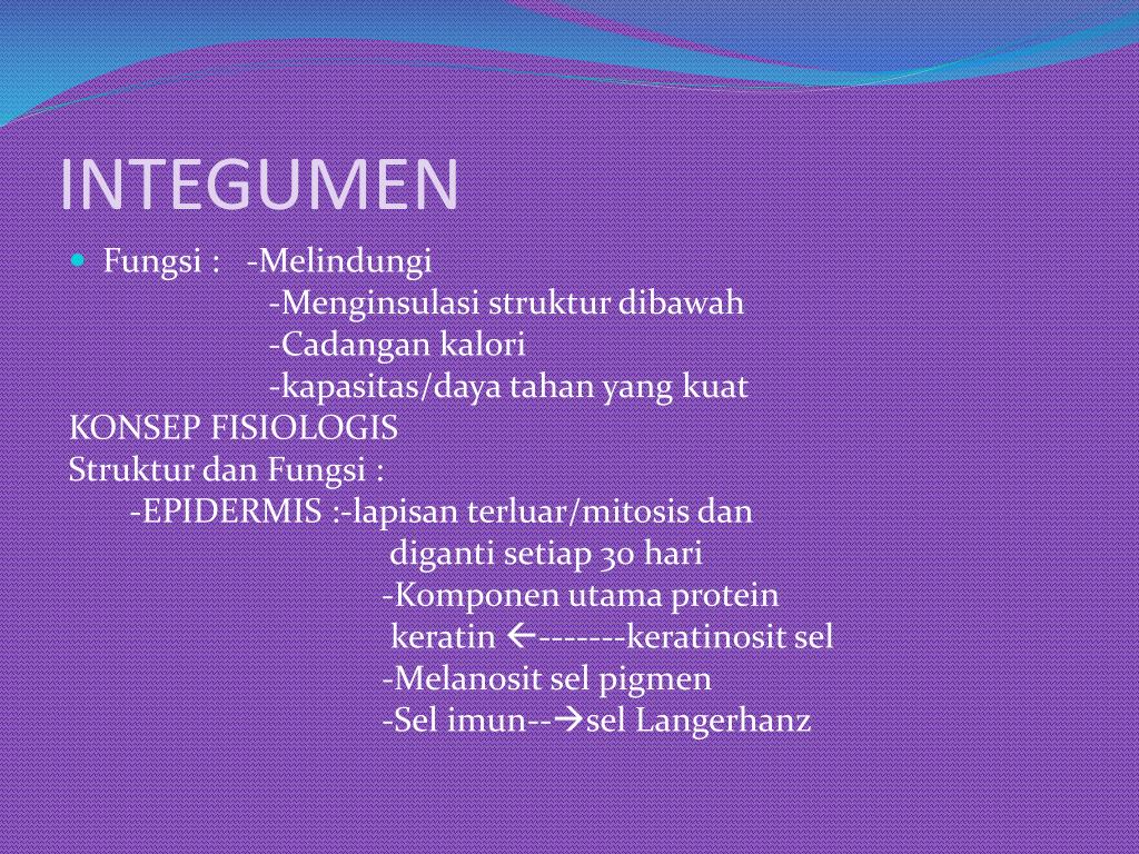 PPT - INTEGUMEN PowerPoint Presentation, free download - ID:1946288