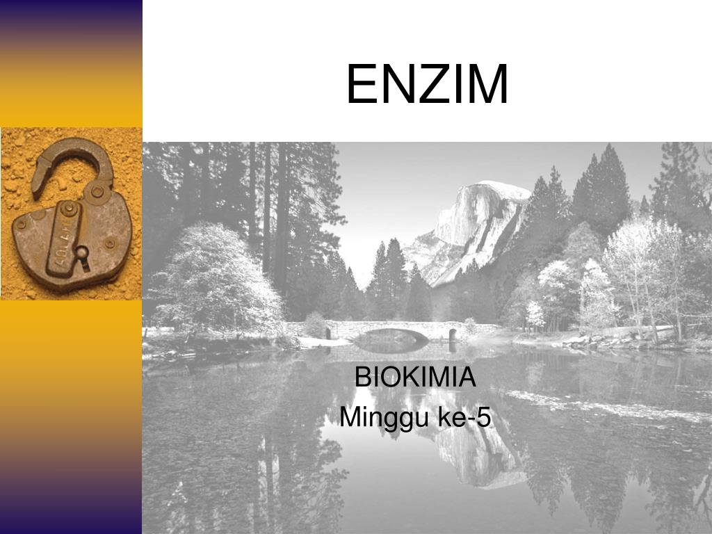 PPT - ENZIM PowerPoint Presentation, free download - ID:1946593