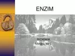 PPT - KINETIKA ENZIM PowerPoint Presentation, free download - ID:2118853