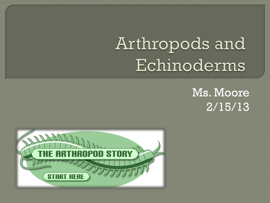 PPT - Arthropods and Echinoderms PowerPoint Presentation, free download ...