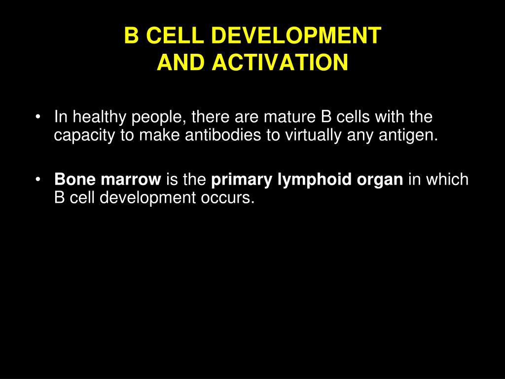 PPT - B CELL DEVELOPMENT AND ACTIVATION PowerPoint Presentation, free ...
