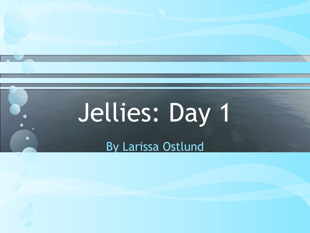 PPT - Jellies: Day 1 PowerPoint Presentation, free download - ID:1946756