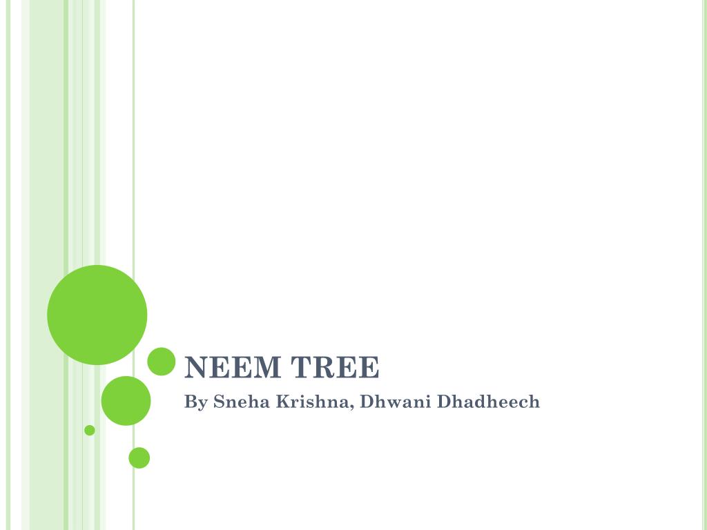 PPT - NEEM TREE PowerPoint Presentation, free download - ID:1947647