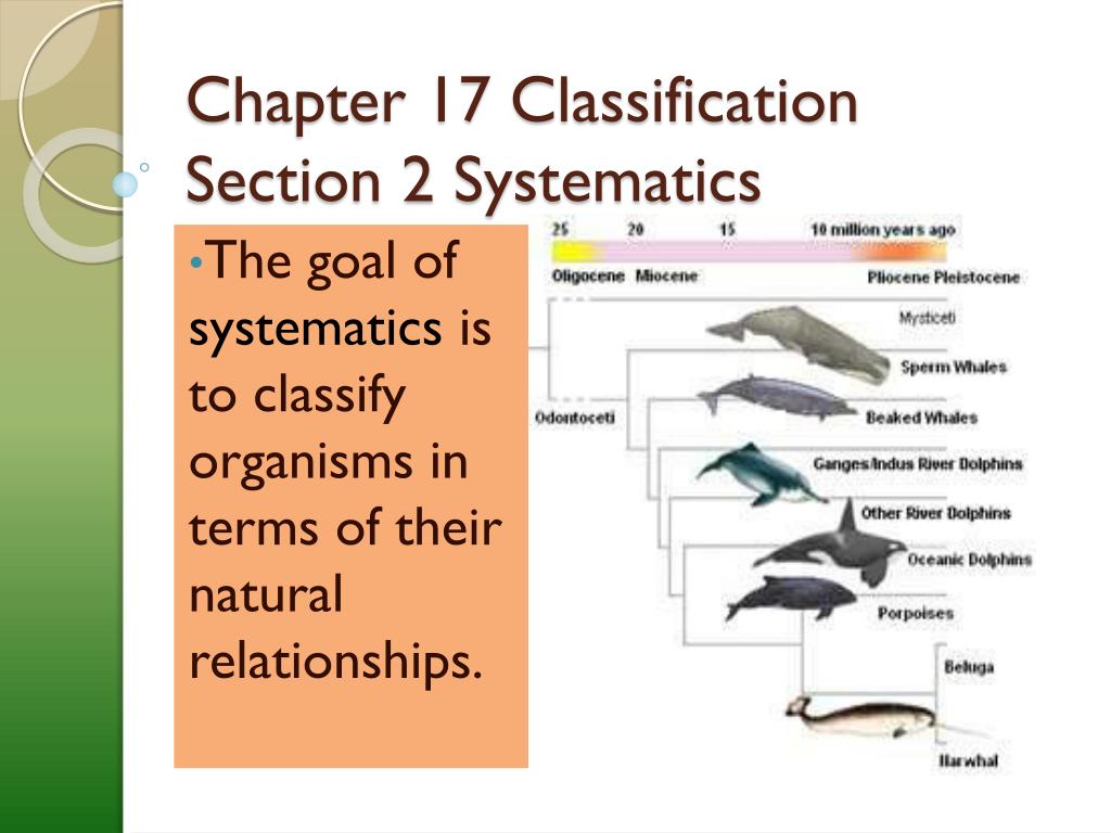 PPT - Chapter 17 Classification Section 2 Systematics PowerPoint ...