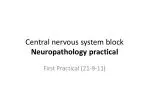 PPT - Cardiovascular practical Block PowerPoint Presentation, free ...