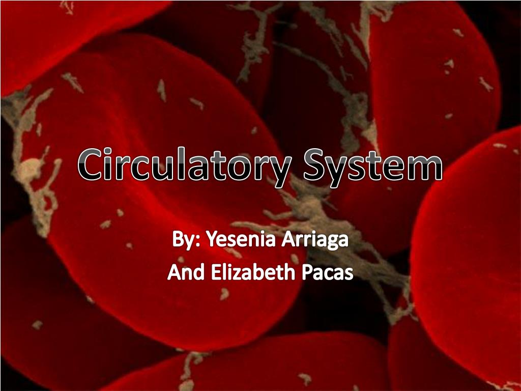 PPT - Circulatory System PowerPoint Presentation, free download - ID ...