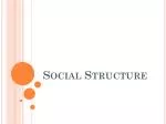 PPT - Social Structure PowerPoint Presentation, free download - ID:1628476