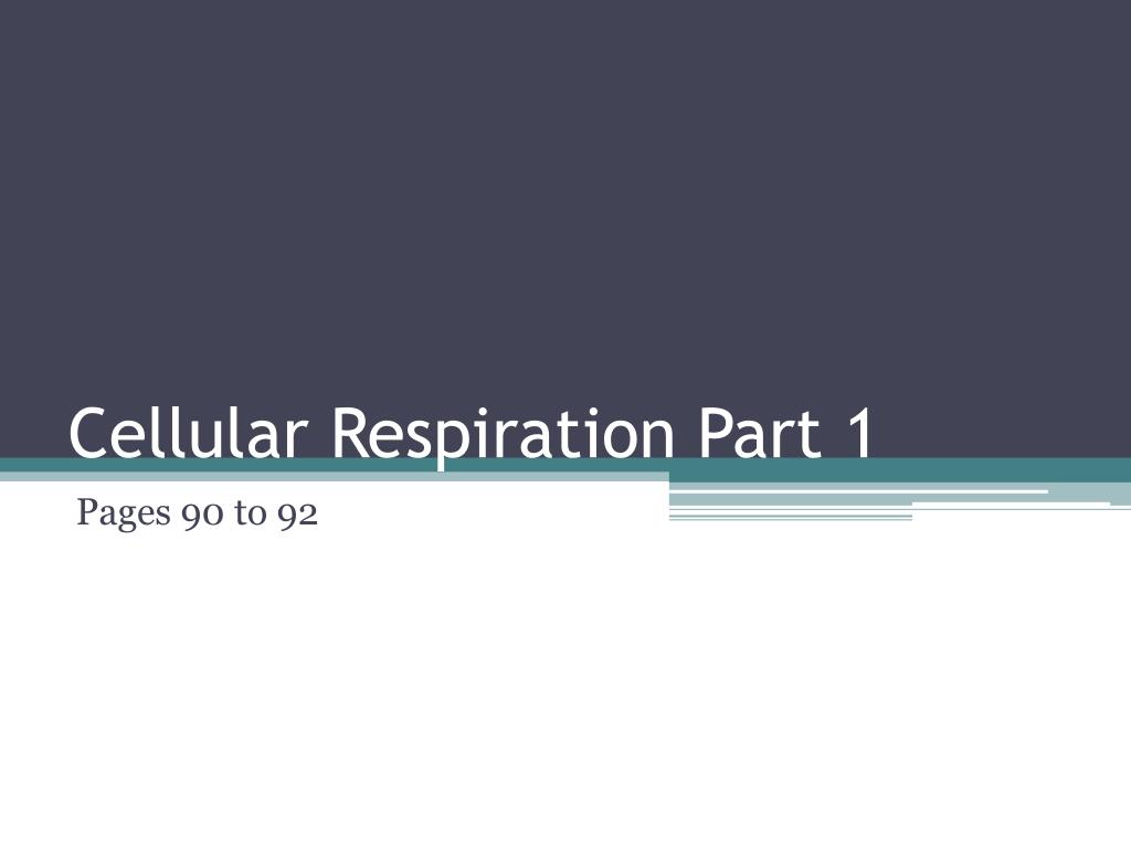 PPT - Cellular Respiration Part 1 PowerPoint Presentation, free ...