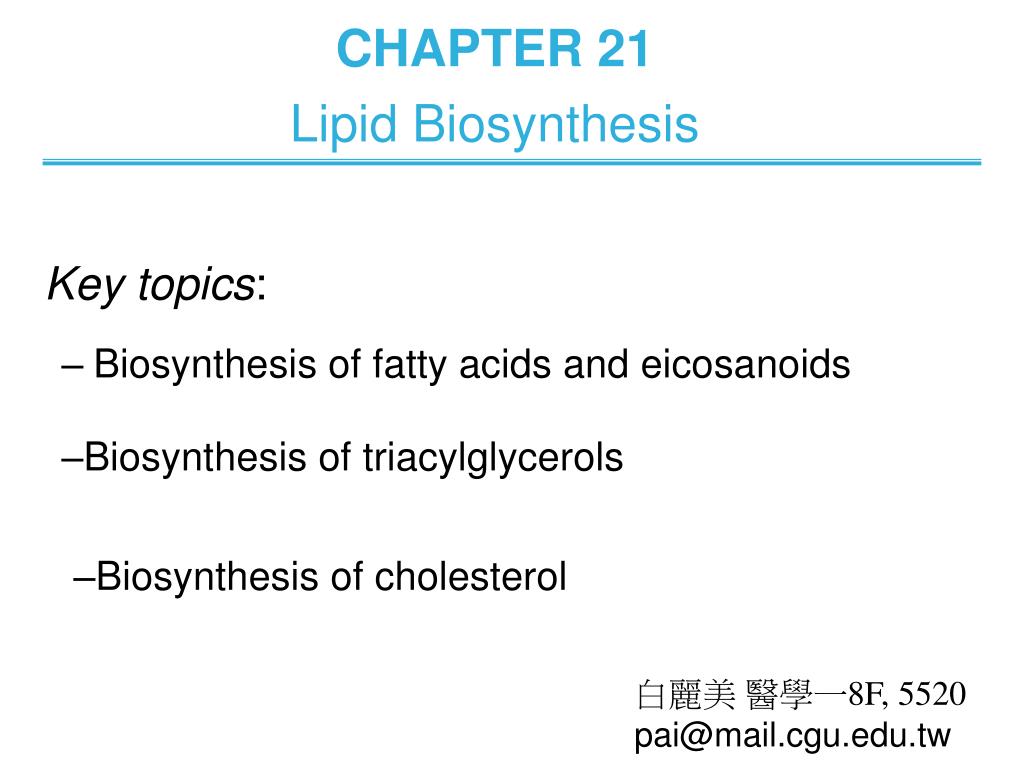 PPT - CHAPTER 21 Lipid Biosynthesis PowerPoint Presentation, free download - ID:1951332