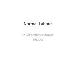 PPT - PHYSIOLOGY OF NORMAL LABOUR PowerPoint Presentation, free ...