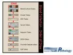 PPT - Blood tubes PowerPoint Presentation, free download - ID:634349