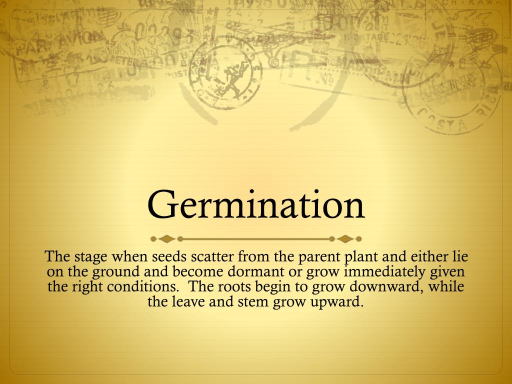 PPT - Understanding Plant Reproduction: Germination, Fertilization, and ...