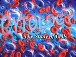 PPT - LIQUID BASED CYTOLOGY PowerPoint Presentation, free download - ID ...