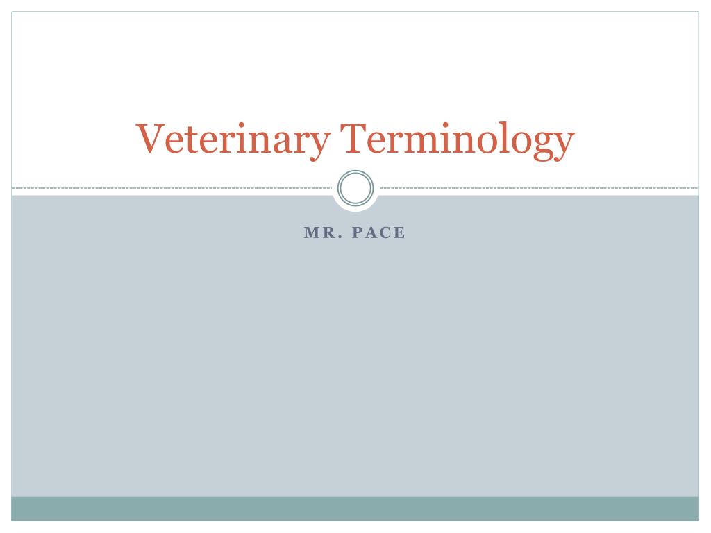 PPT - Veterinary Terminology PowerPoint Presentation, free download ...