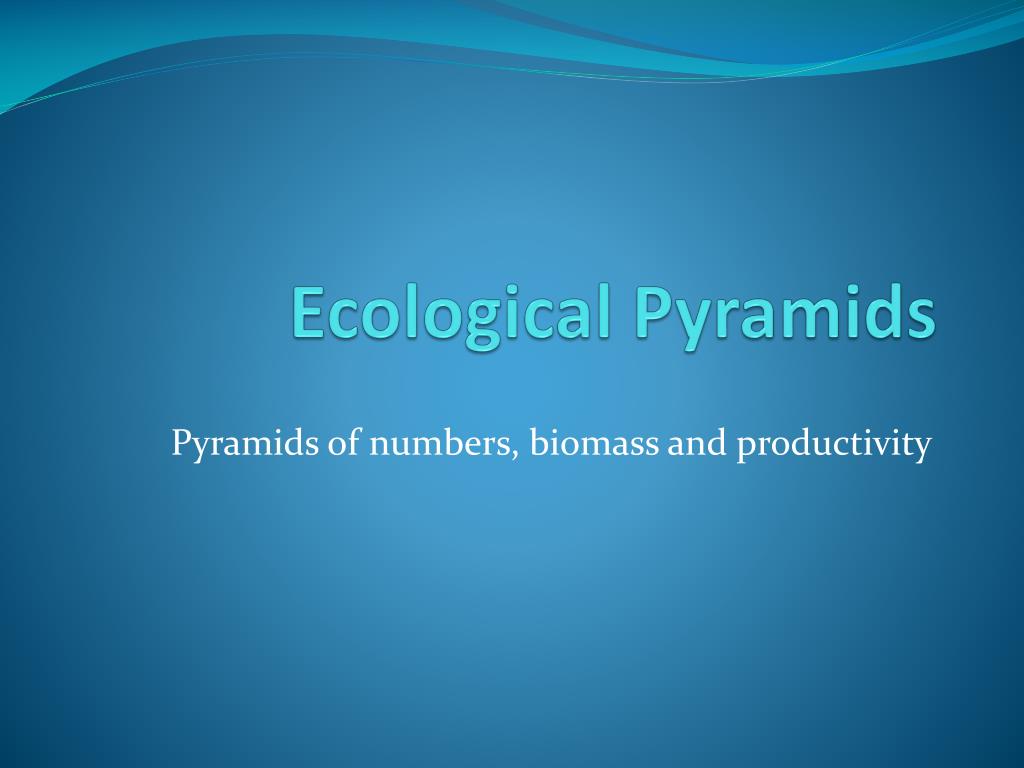 PPT - Ecological Pyramids PowerPoint Presentation, free download - ID ...