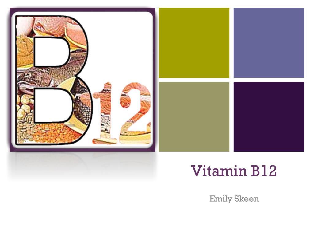 PPT - Vitamin B12 PowerPoint Presentation, free download - ID:1954179