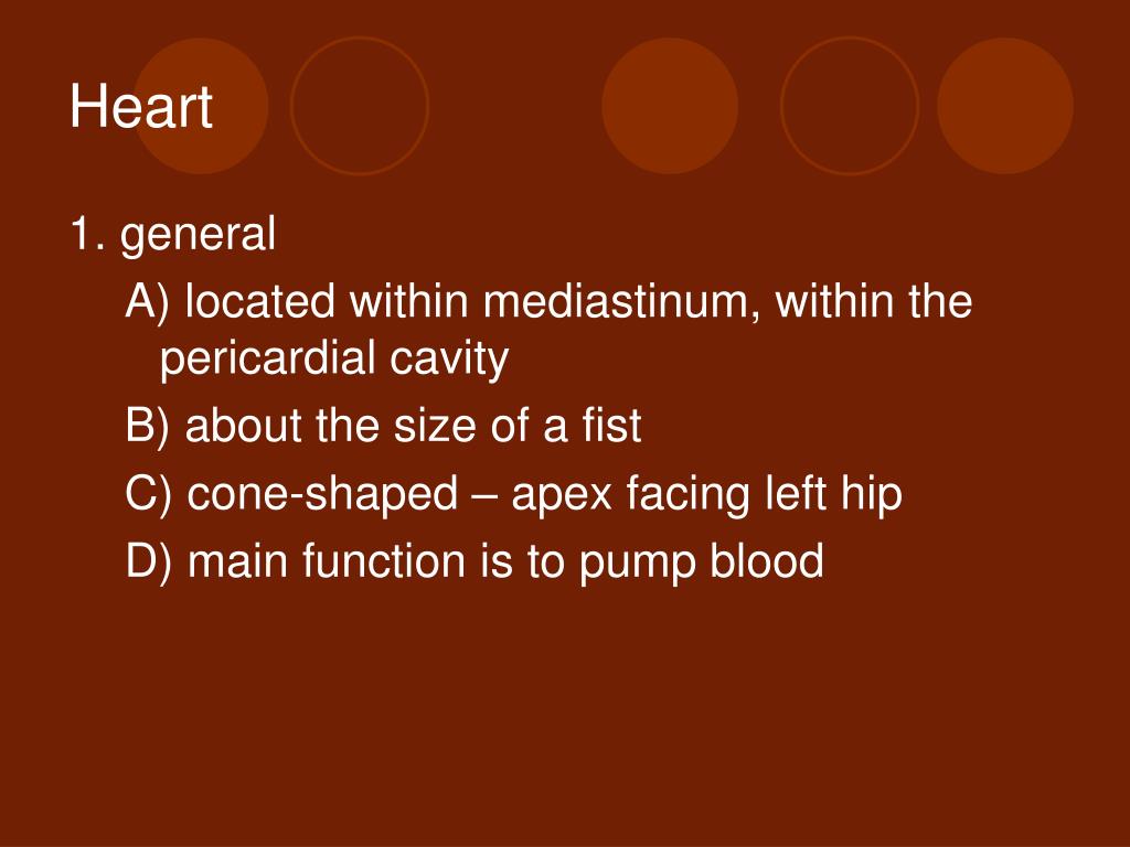 PPT - Heart PowerPoint Presentation, free download - ID:1957505