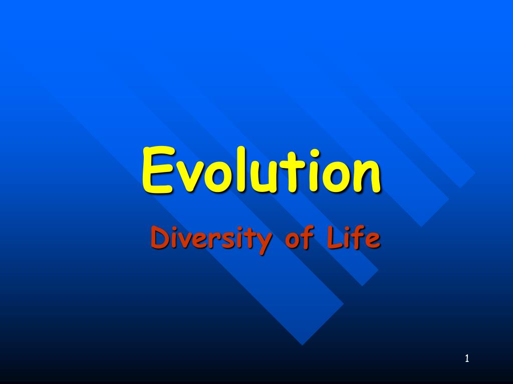 PPT - Evolution PowerPoint Presentation, free download - ID:1957548