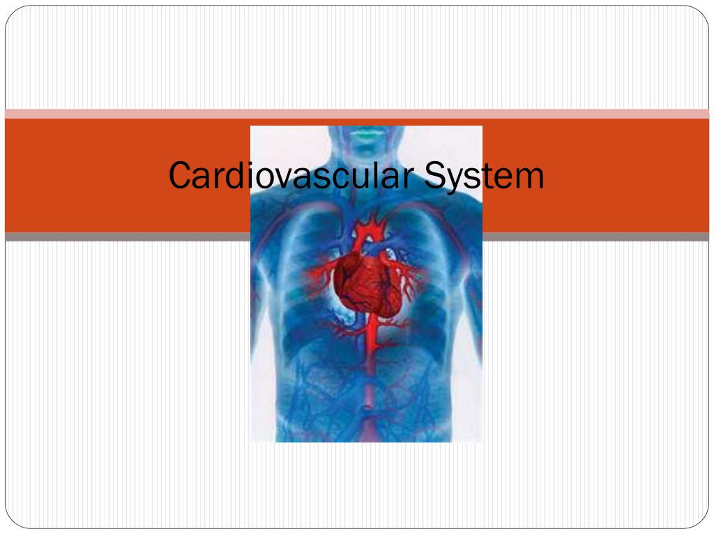PPT - Cardiovascular System PowerPoint Presentation, free download - ID ...