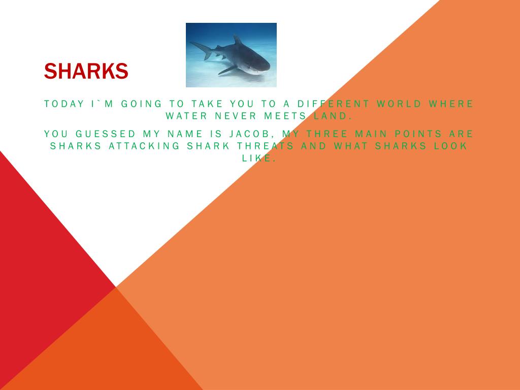 PPT - Sharks PowerPoint Presentation, free download - ID:1959413