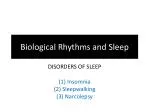 PPT - Biological Rhythms PowerPoint Presentation, free download - ID ...