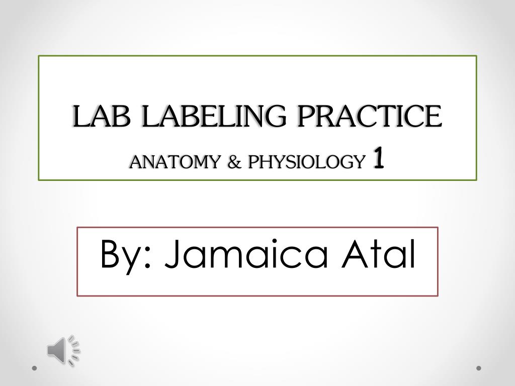PPT - LAB LABELING PRACTICE ANATOMY & PHYSIOLOGY 1 PowerPoint ...