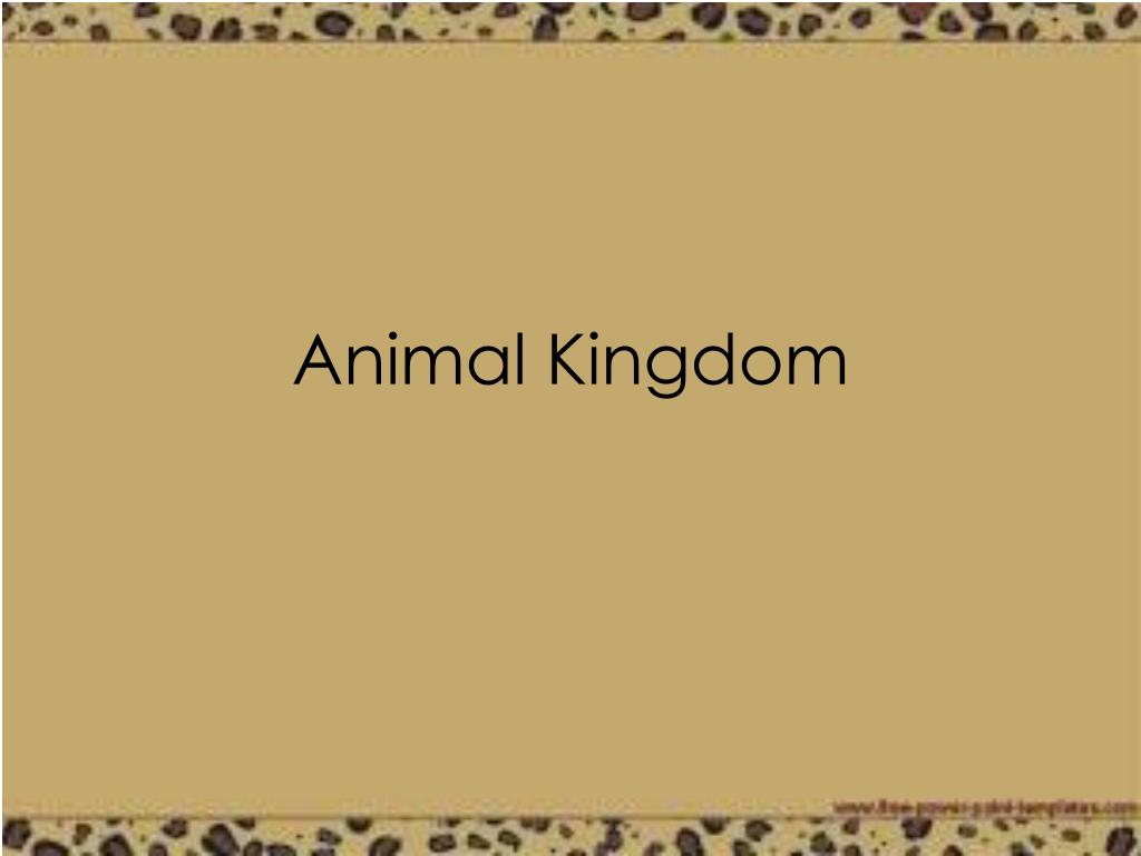 PPT - Animal Kingdom PowerPoint Presentation, free download - ID:1962416
