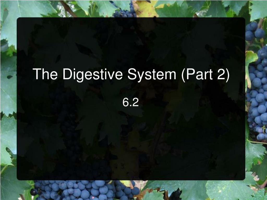 PPT - The Digestive System (Part 2) PowerPoint Presentation, free ...