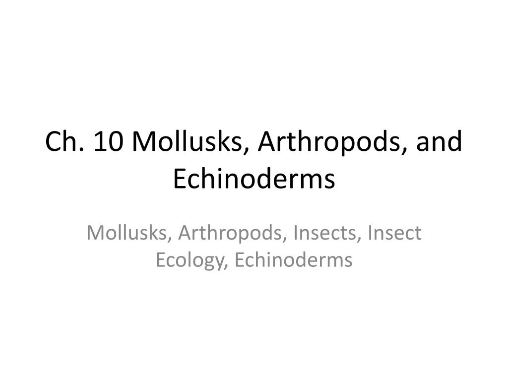 PPT - Ch. 10 Mollusks, Arthropods, and Echinoderms PowerPoint ...