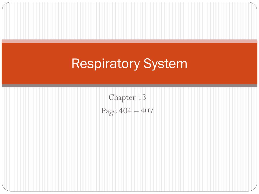 PPT - Respiratory System PowerPoint Presentation, free download - ID ...