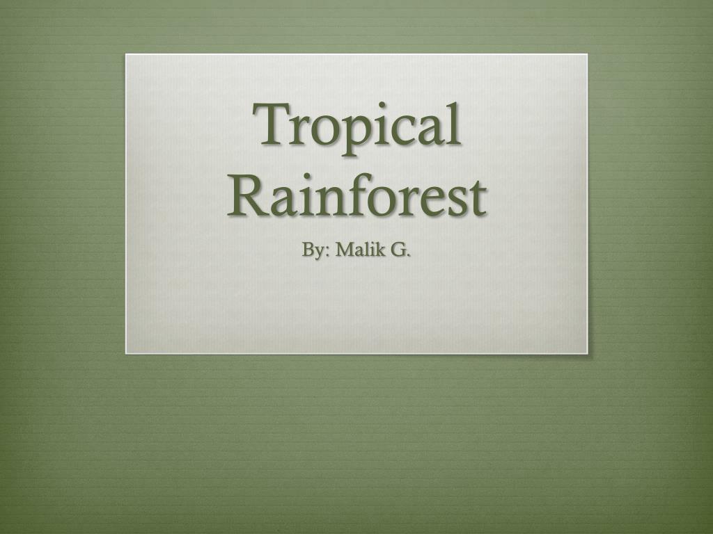 PPT - Tropical Rainforest PowerPoint Presentation, free download - ID ...