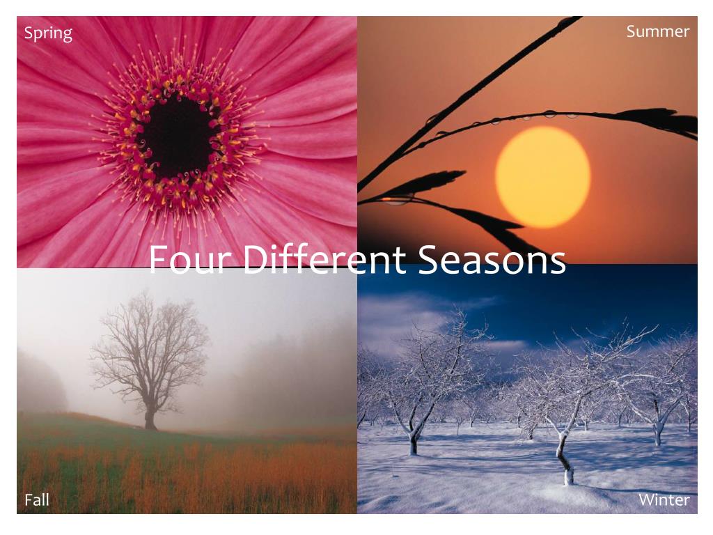 PPT - Four Different Seasons PowerPoint Presentation, free download ...