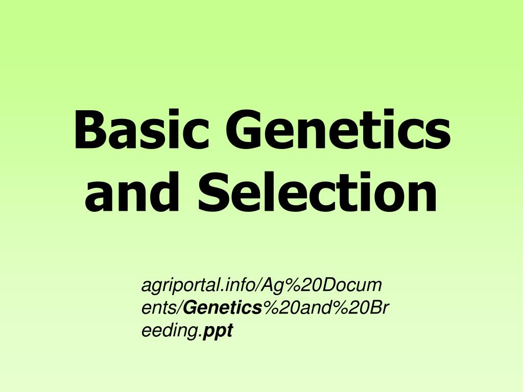 PPT - Basic Genetics and Selection PowerPoint Presentation, free ...