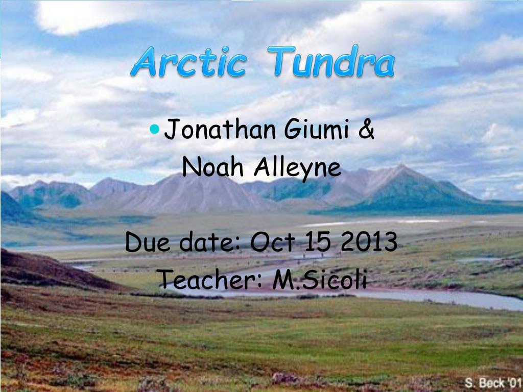 PPT - Arctic Tundra PowerPoint Presentation, free download - ID:1970413
