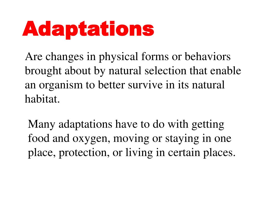 PPT - Adaptations PowerPoint Presentation, free download - ID:1970863