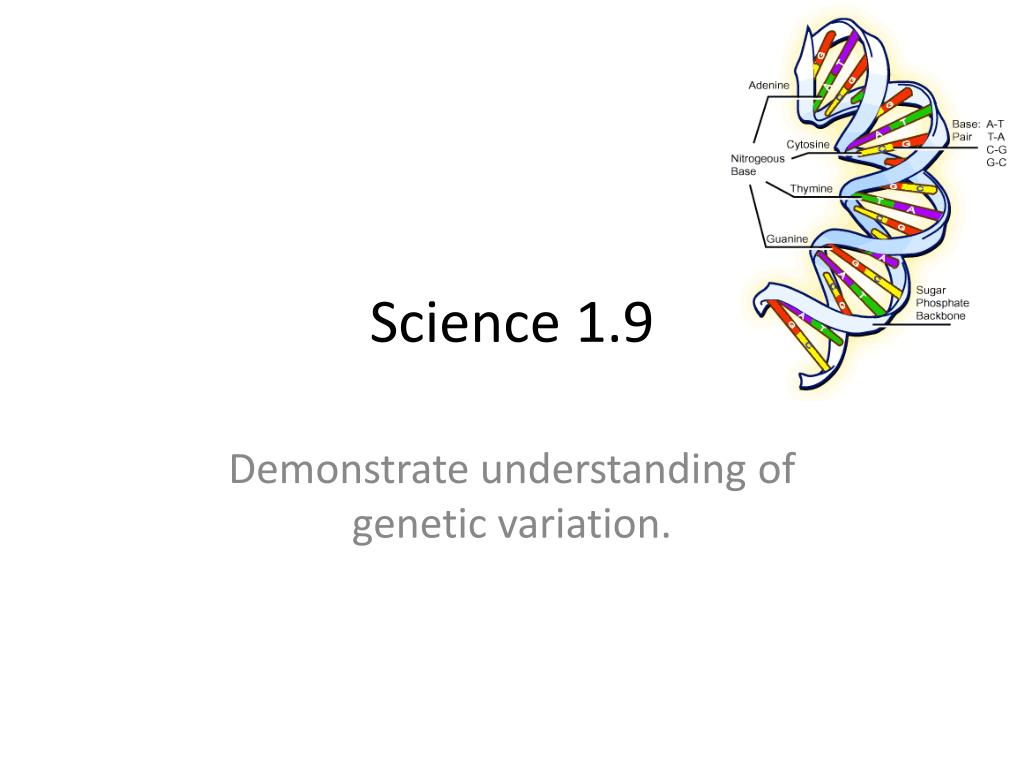 PPT - Understanding Genetic Variation and Inheritance PowerPoint ...