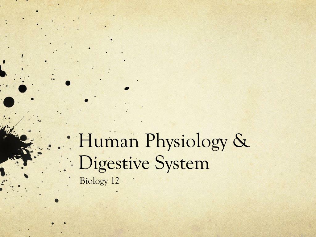 PPT - Human Physiology & Digestive System PowerPoint Presentation - ID ...